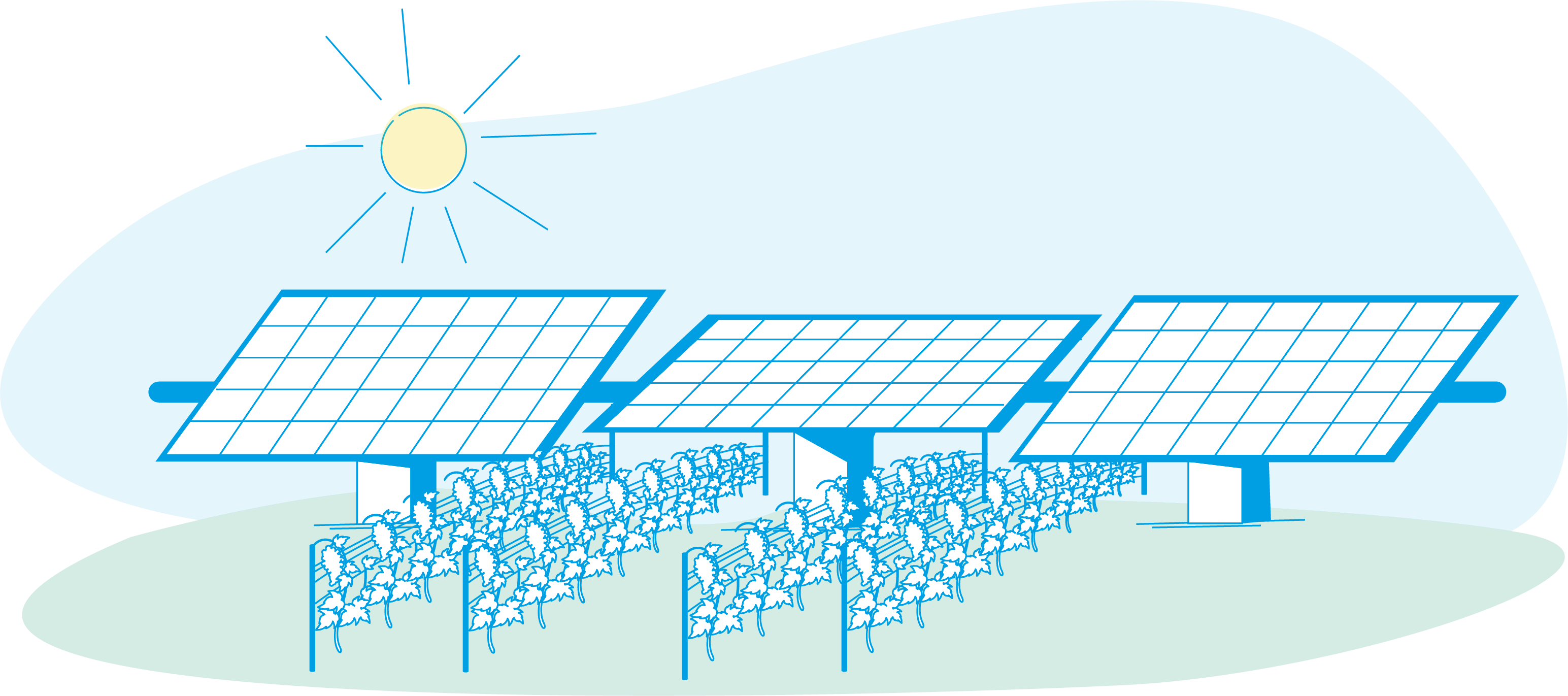 Energie solaire agricole - ENGIE Pro